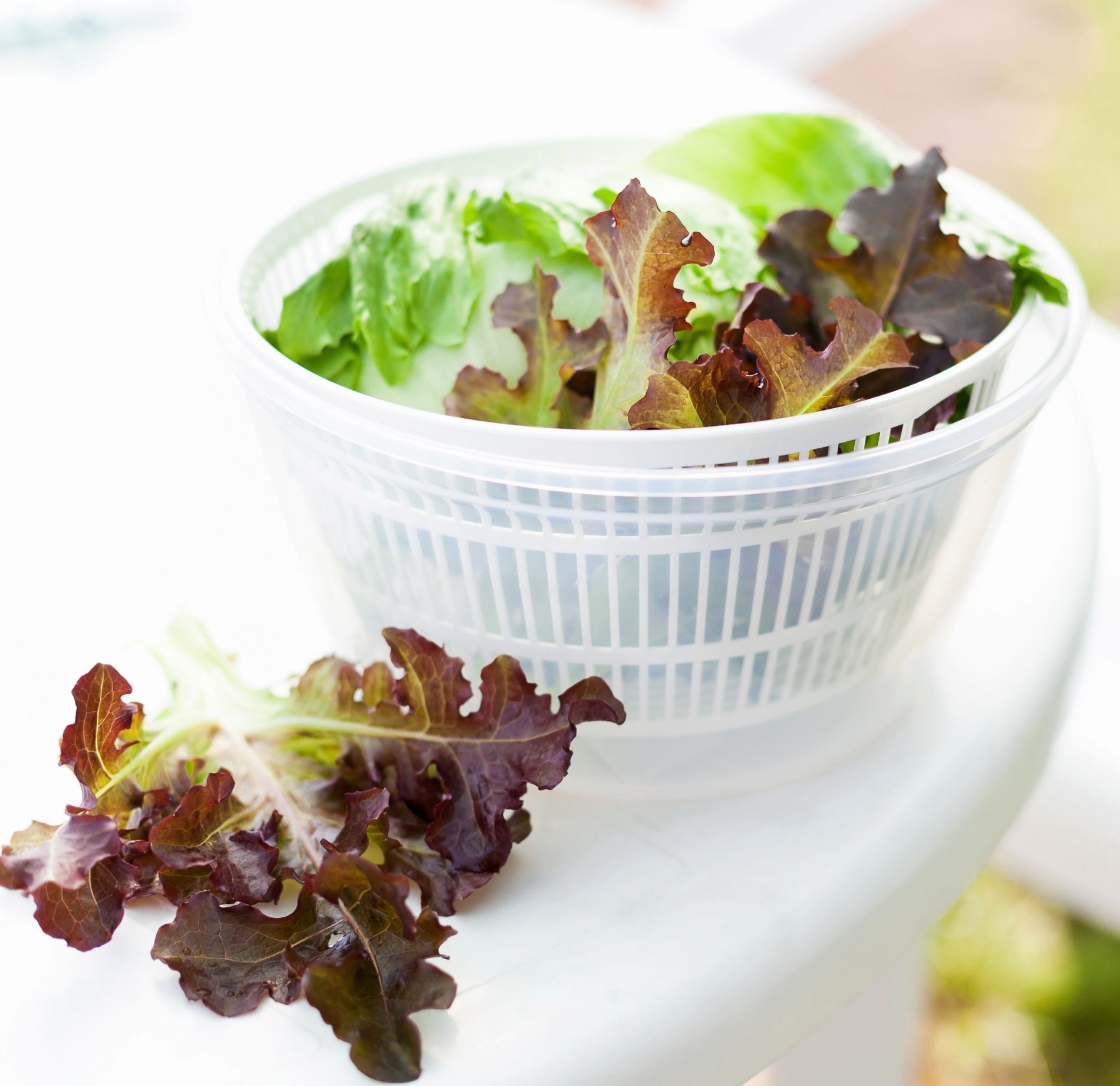 Salad Spinner - Cooking Sessions