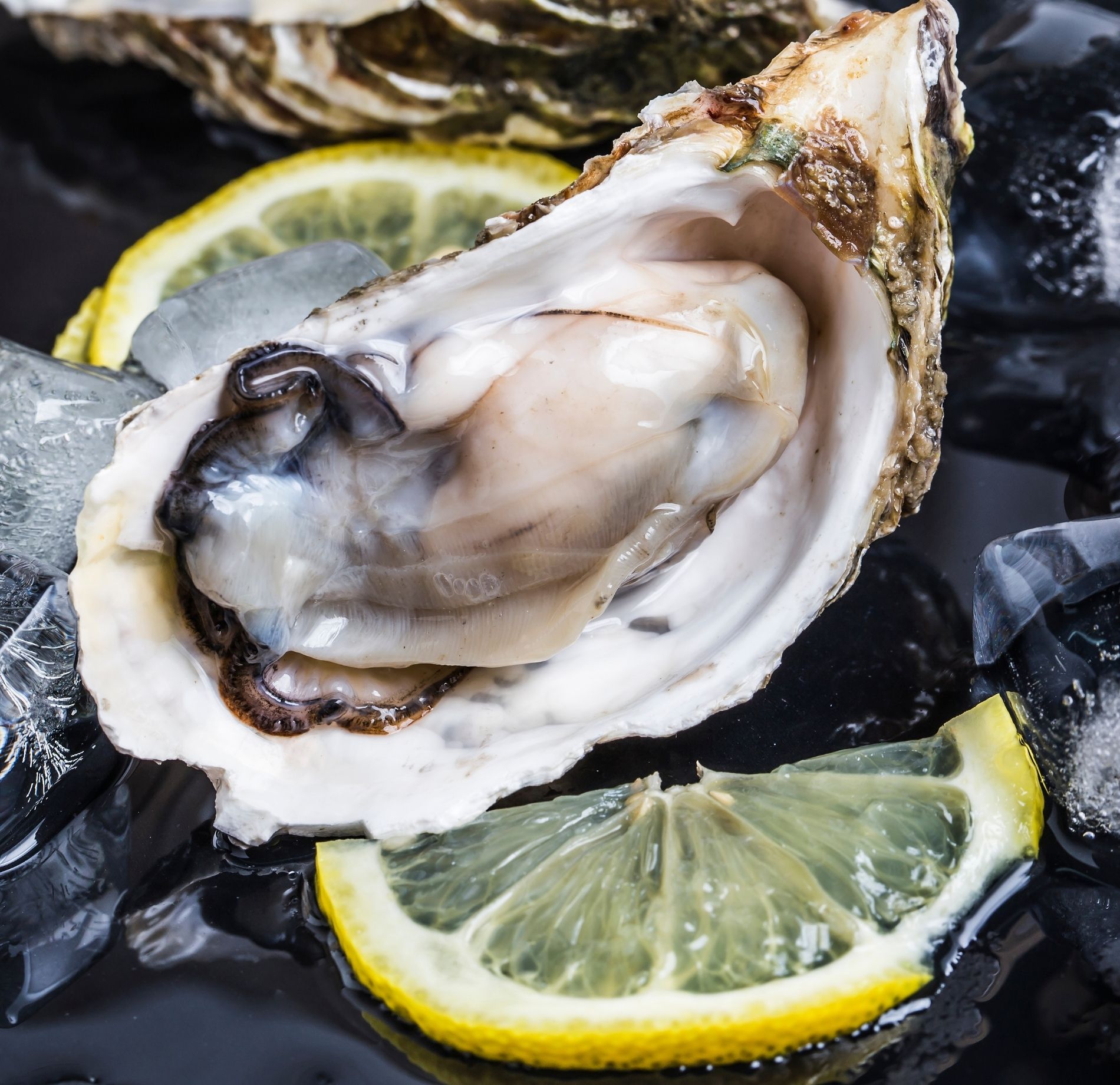 How to Open an Oyster - Cooking Sessions