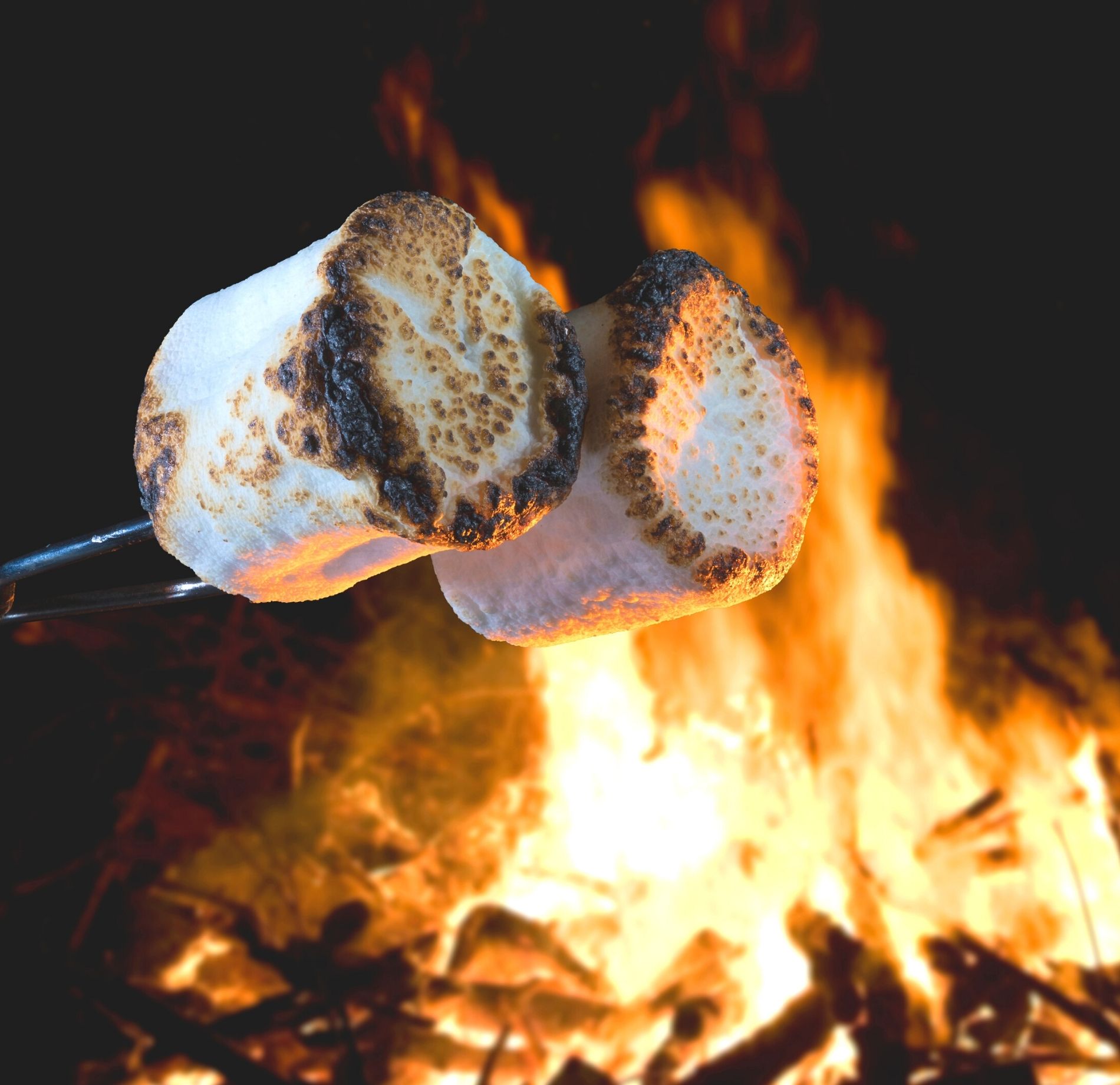 Elevate Your Campfire Experience With Gourmet S Mores Cooking Sessions