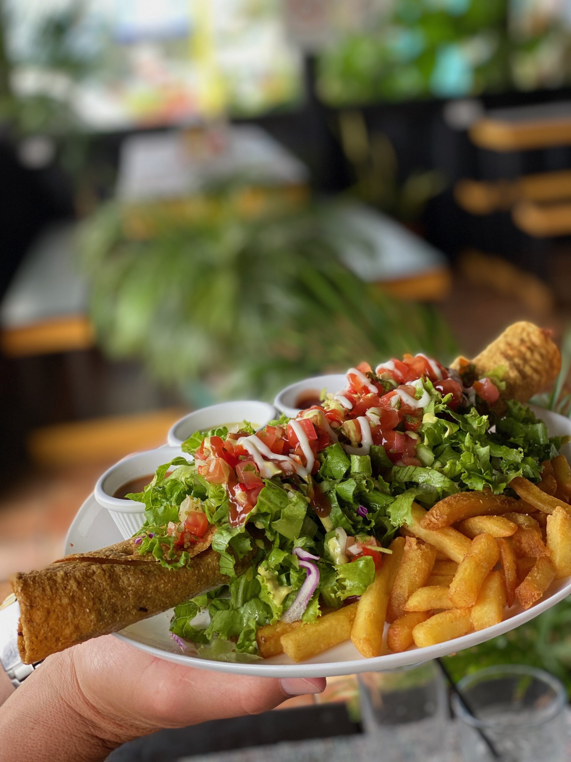 Red Frog Coffee Roaster - La Fortuna, Costa Rica