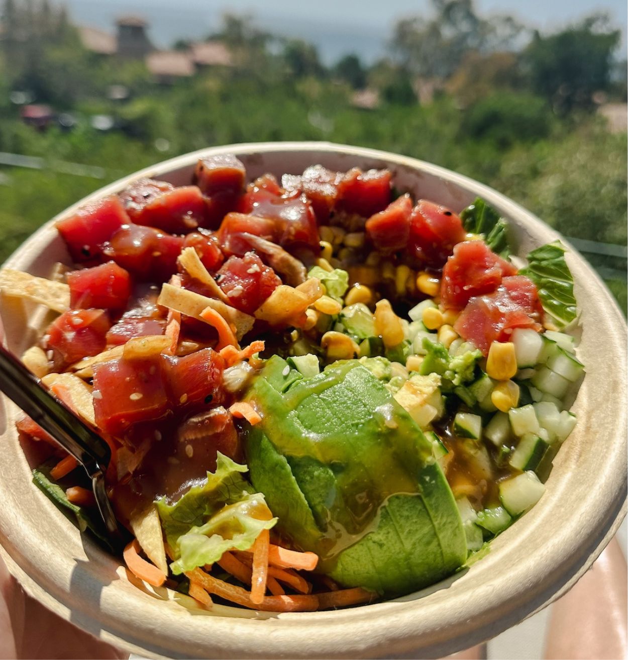 Poke Bowl Salad with Ahi Tuna and Greens - Cooking Sessions